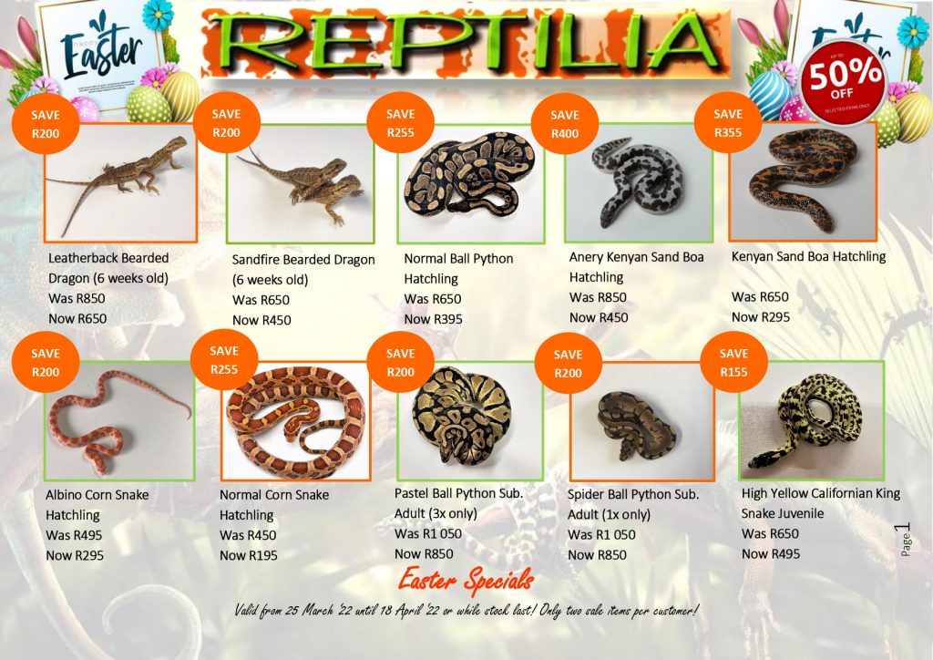 Specials – Exotic Pet Store