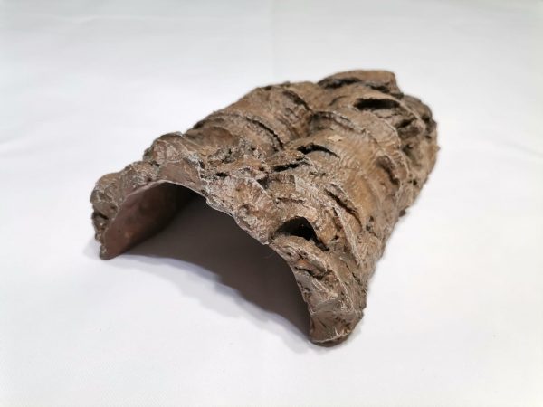 Cork Bark Hide – Medium – Exotic Pet Store