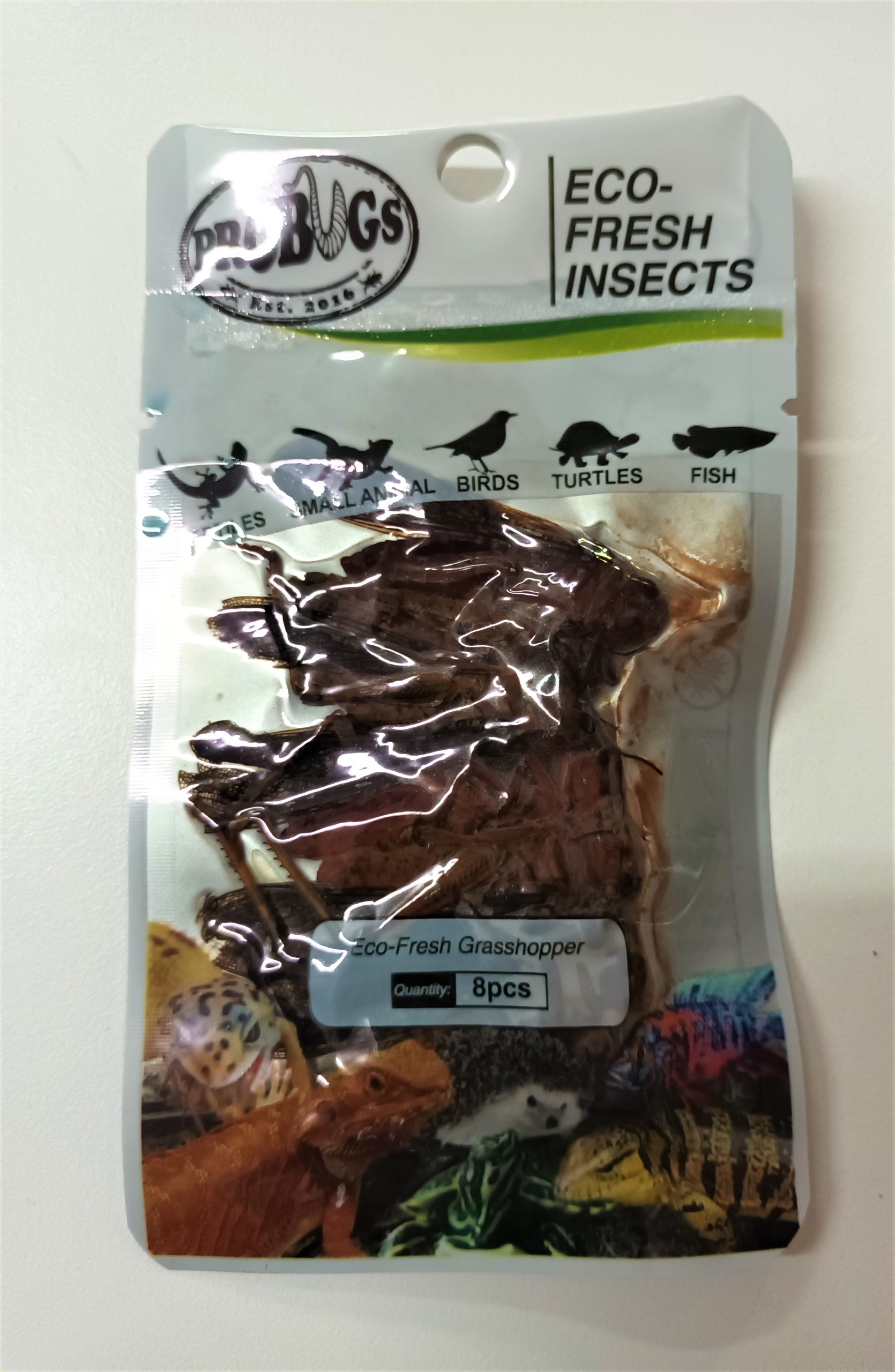 Eco Fresh Insects Grasshopper – Exotic Pet Store