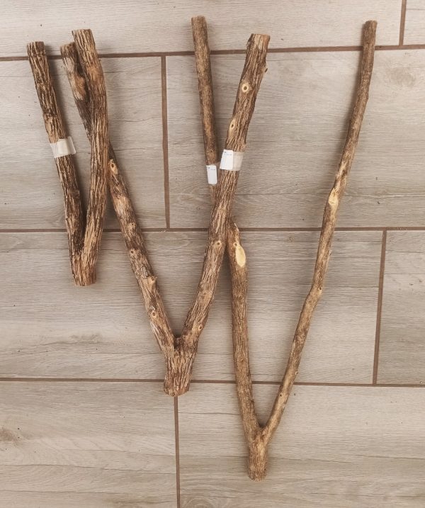 Sekelbos wood V – Stick 400mm – Exotic Pet Store