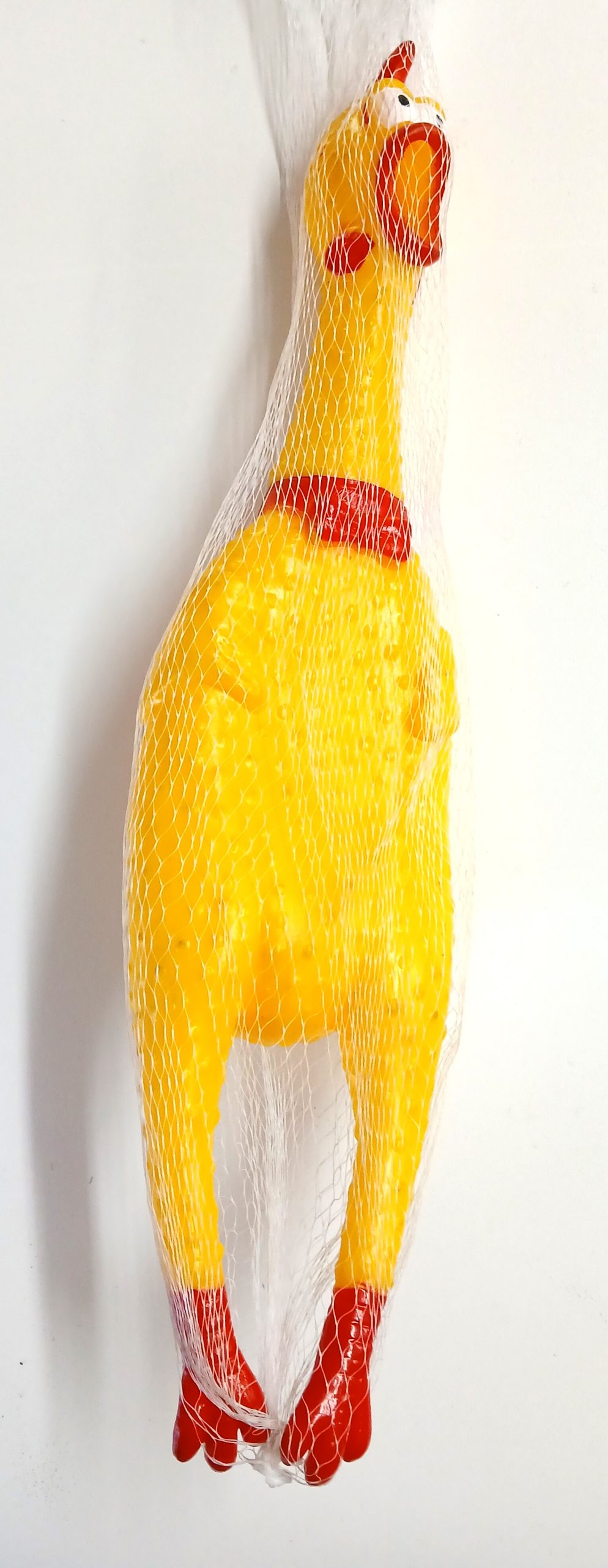 Shrilling Chicken – 1191285 – Exotic Pet Store