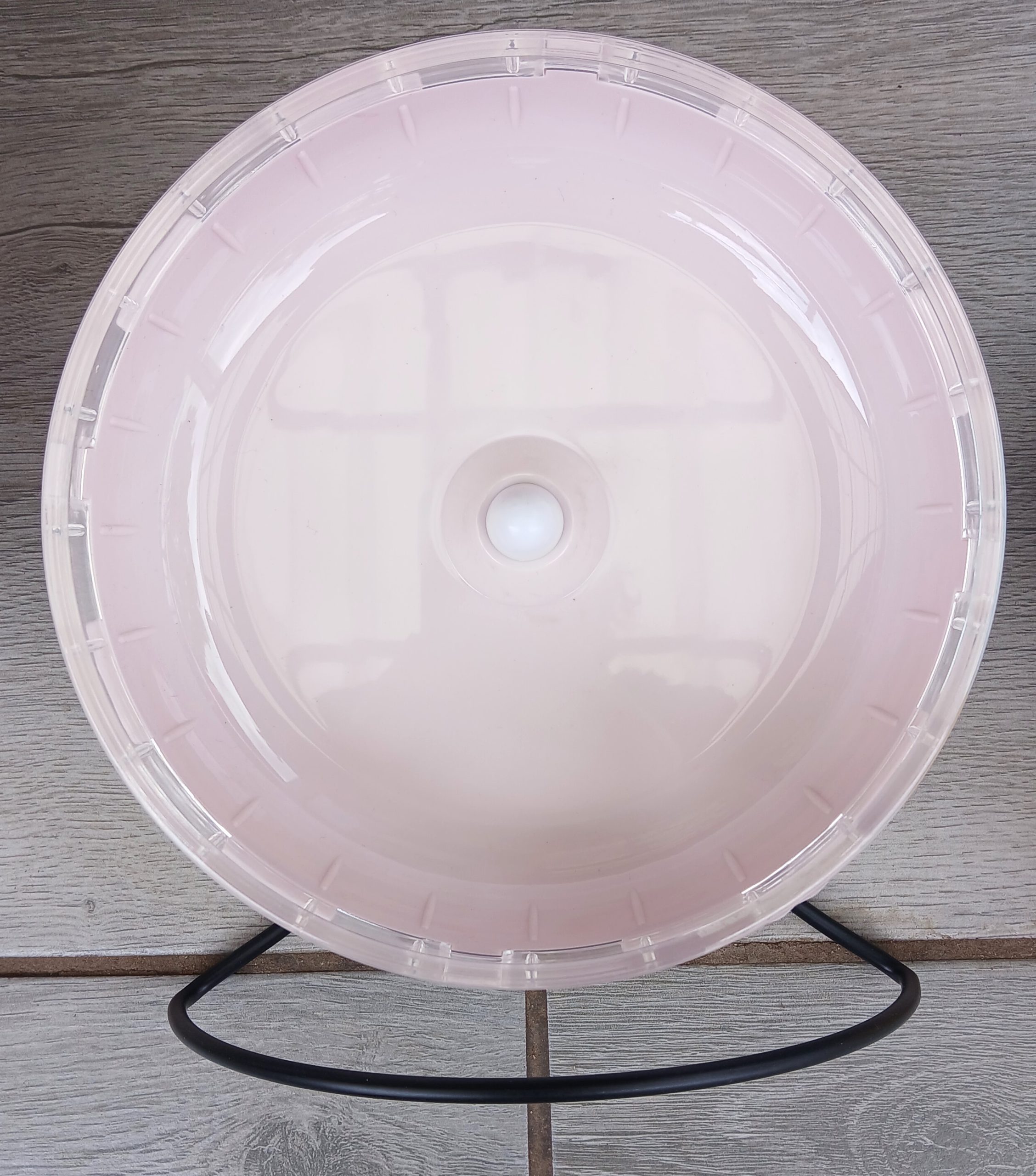 Silent Small Animal Wheel 21cm – Exotic Pet Store