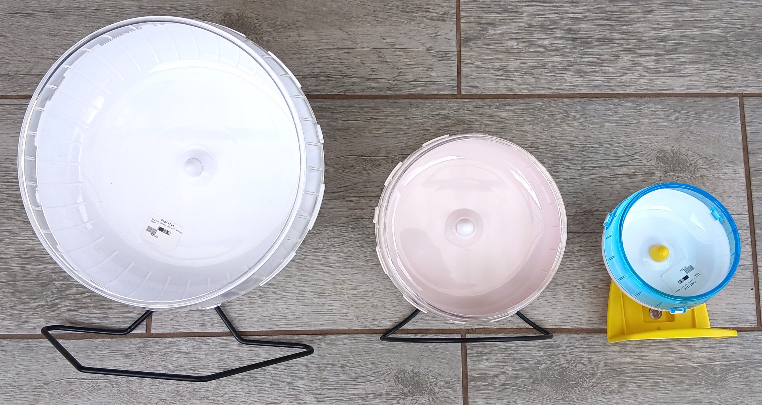 Silent Small Animal Wheel 21cm – Exotic Pet Store