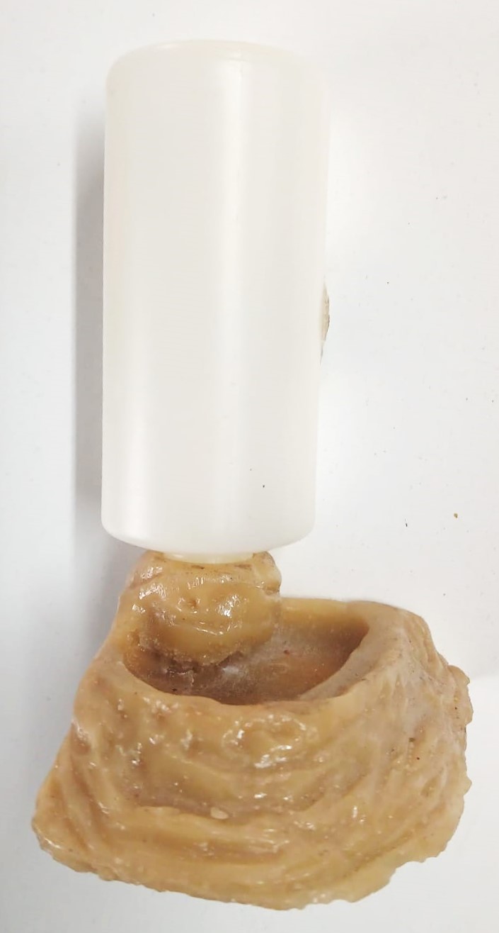 Corner Water Reservoir With Bottle – Exotic Pet Store