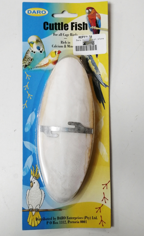 Daro Cuttle Fish – Exotic Pet Store