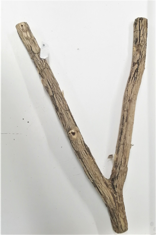 Sekelbos wood V – Stick – Exotic Pet Store